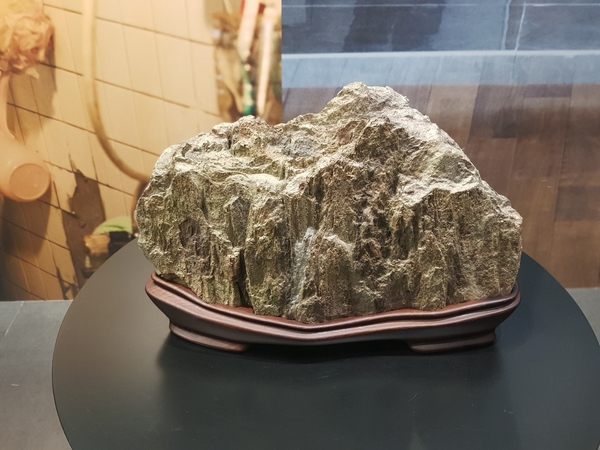 Undisciplining Through Jane Eyre, Re Jane, and Parasite ...